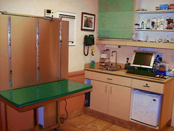 Canine Exam Room2 | Animal Medical New City