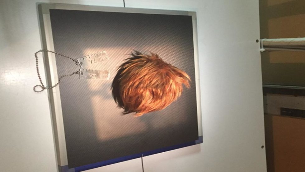 How To Tell If My Cat Has Arthritis | Animal Medical New City