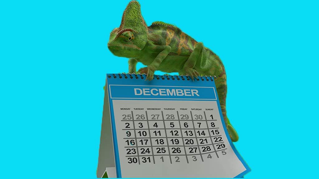 animal medical schedule mobile | Animal Medical New City